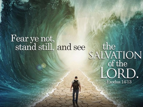 Stand and See – Time2SeekTruth Ministries